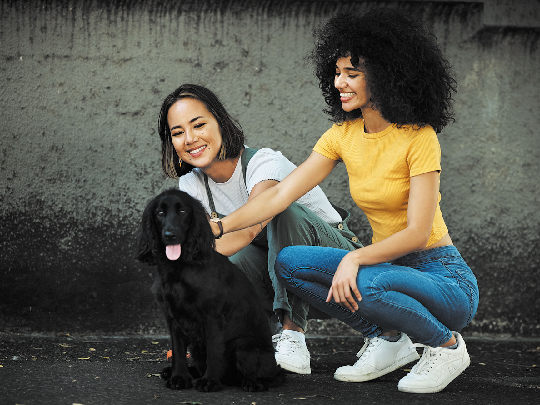 How Pets Support LGBTQ Mental Health | Dallas Voice